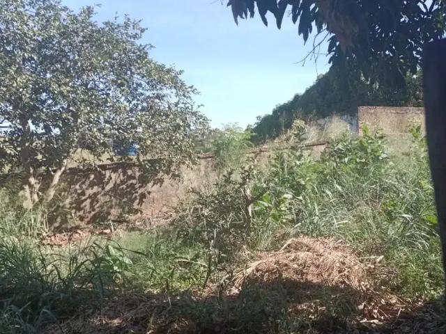 Terreno / Lote para Venda em Anápolis/GO Jardim Santana