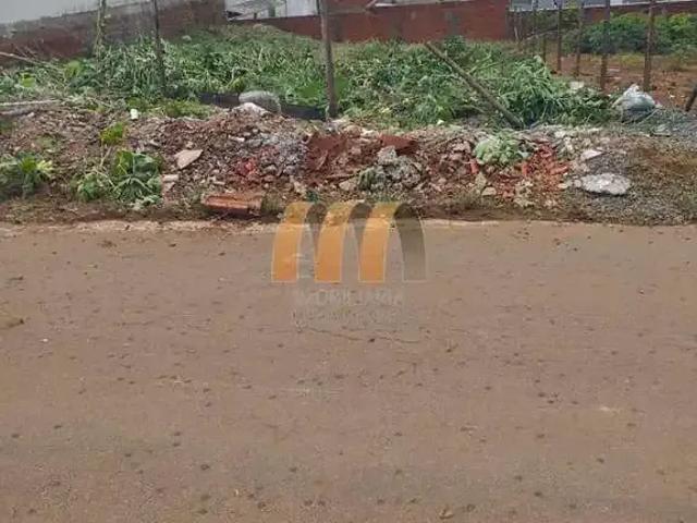 Terreno / Lote para Venda em Anápolis/GO Residencial Flor do Cerrado
