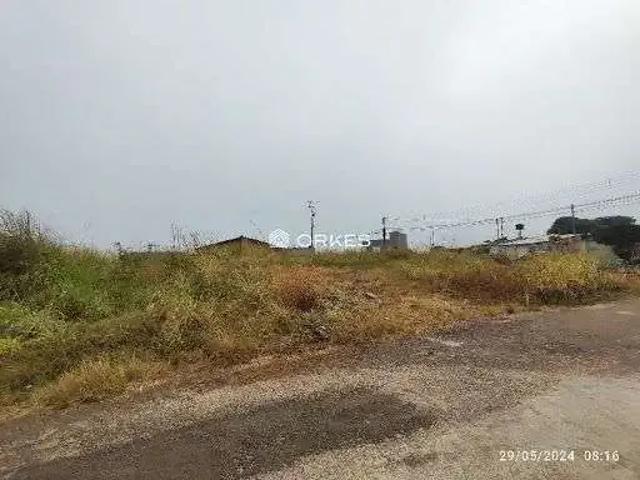 Terreno / Lote para Venda em Anápolis/GO Setor Sul Jamil Miguel