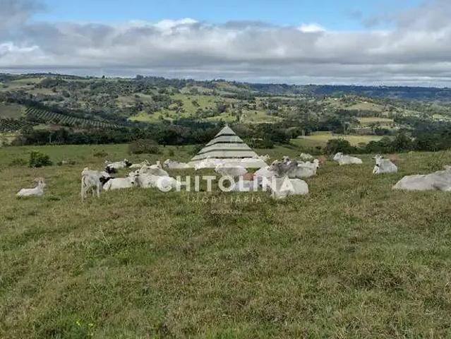 Terreno / Lote para Venda em Angatuba/SP Bairro dos Tavares 2 Quartos