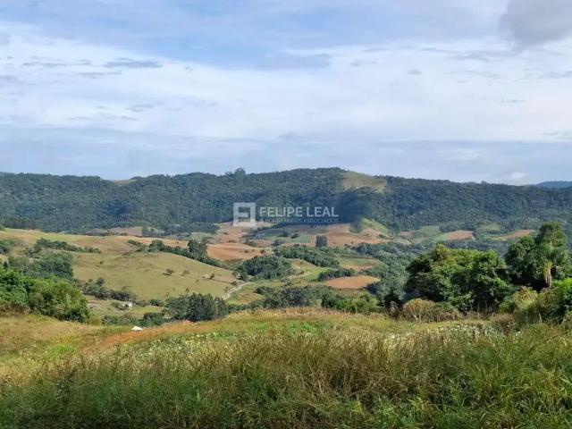 Terreno / Lote para Venda em Angelina/SC Barra Clara