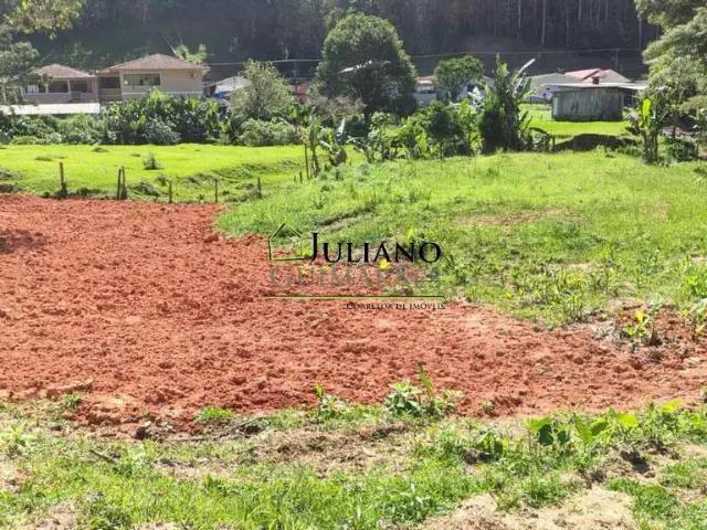 Terreno / Lote para Venda em Angelina/SC Centro