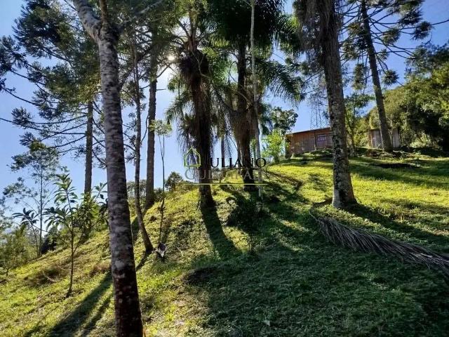 Terreno / Lote para Venda em Angelina/SC Centro