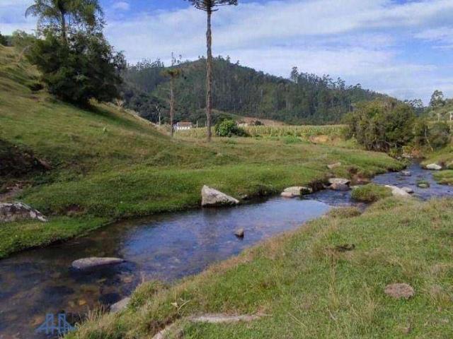 Terreno / Lote para Venda em Angelina/SC Centro
