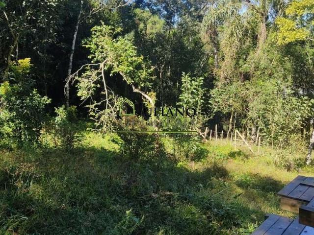 Terreno / Lote para Venda em Angelina/SC Garcia