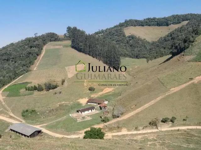 Terreno / Lote para Venda em Angelina/SC Zona Rural