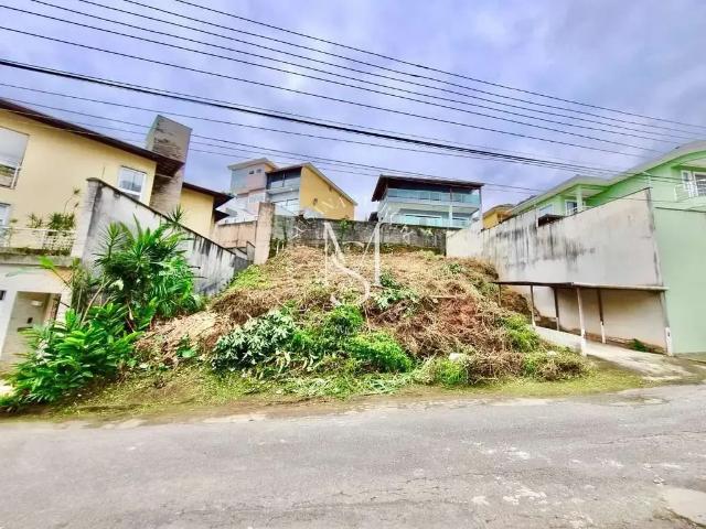 Terreno / Lote para Venda em Angra dos Reis/RJ Parque das Palmeiras