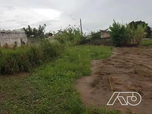 Terreno / Lote para Venda em Anhembi/SP Centro