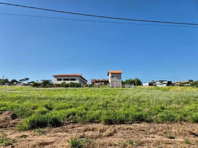Terreno / Lote para Venda em Anhembi/SP Zona Rural