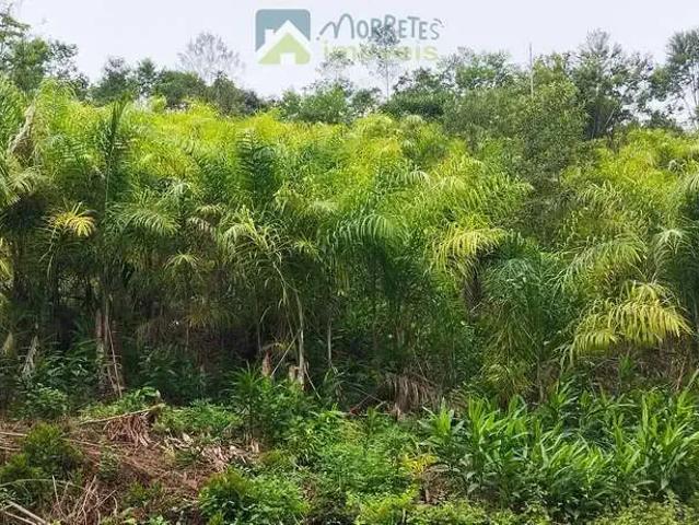 Terreno / Lote para Venda em Antonina/PR Braço da Figueira