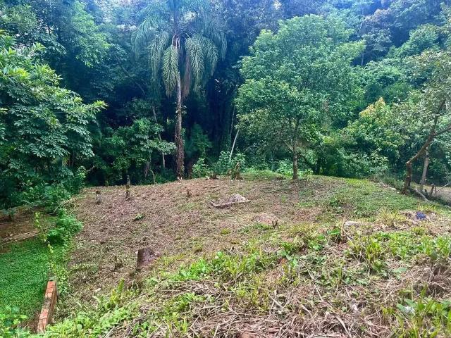 Terreno / Lote para Venda em Antonina/PR Caixa D'Água
