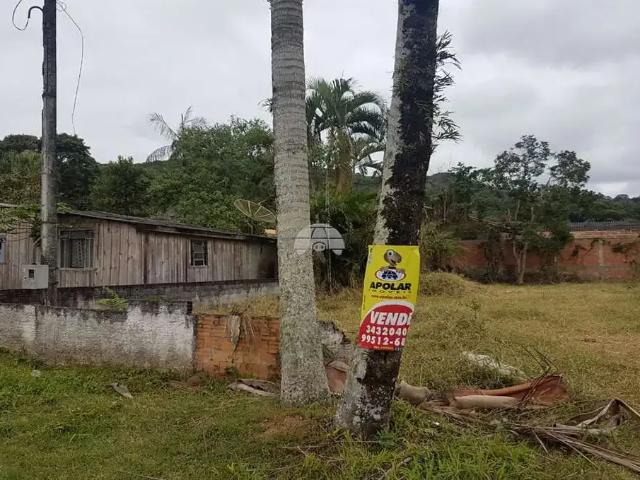 Terreno / Lote para Venda em Antonina/PR Jardim Maria Luiza