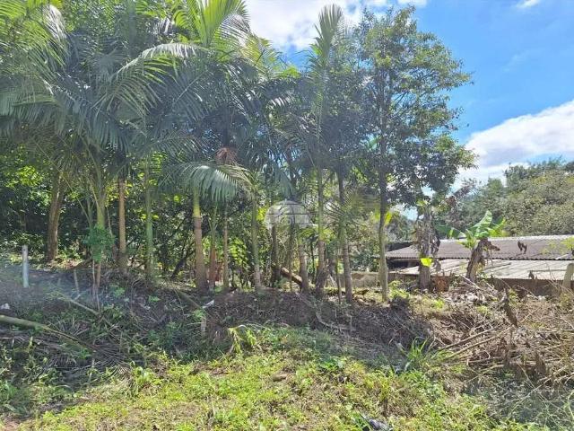 Terreno / Lote para Venda em Antonina/PR Penha