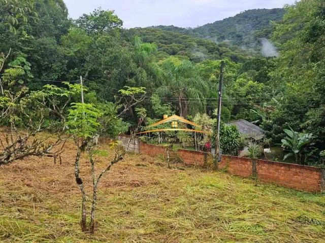 Terreno / Lote para Venda em Antonina/PR Zona Rural