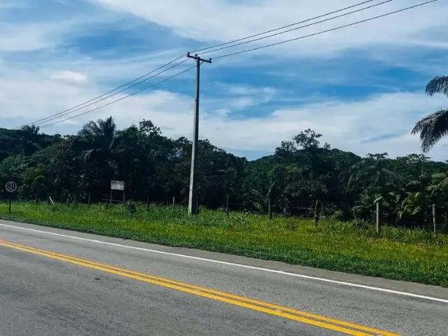Terreno / Lote para Venda em Antonina/PR Zona Rural
