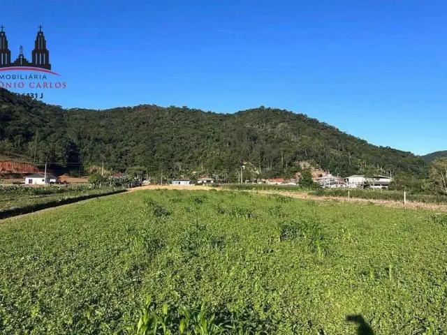 Terreno / Lote para Venda em Antônio Carlos/SC Centro