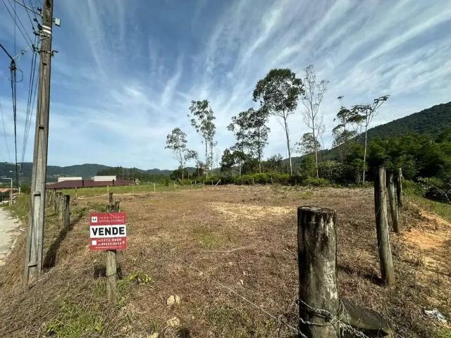 Terreno / Lote para Venda em Antônio Carlos/SC Centro