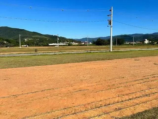 Terreno / Lote para Venda em Antônio Carlos/SC Centro