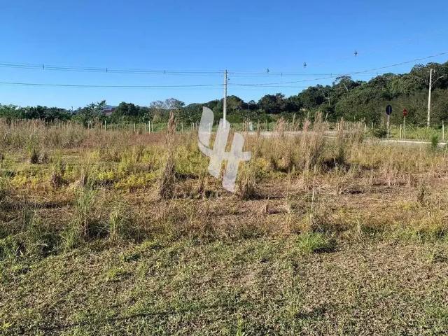 Terreno / Lote para Venda em Antônio Carlos/SC Centro
