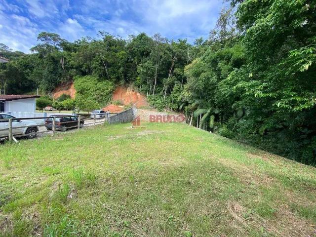 Terreno / Lote para Venda em Antônio Carlos/SC Centro