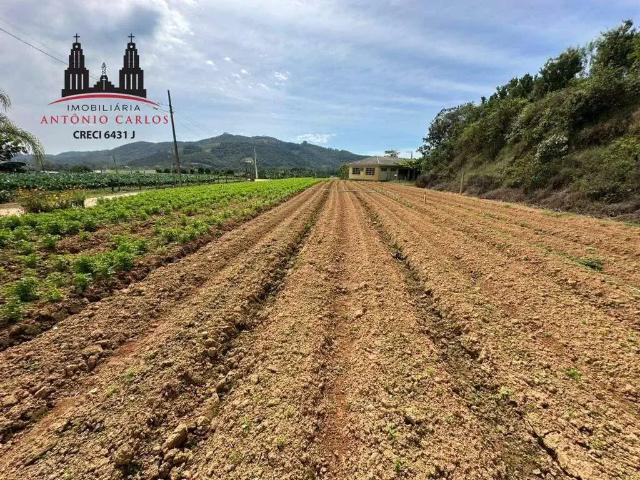 Terreno / Lote para Venda em Antônio Carlos/SC Guiomar