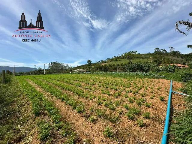 Terreno / Lote para Venda em Antônio Carlos/SC Guiomar