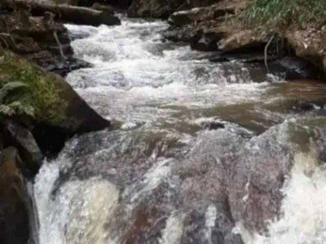 Terreno / Lote para Venda em Antônio Dias/MG Zona Rural