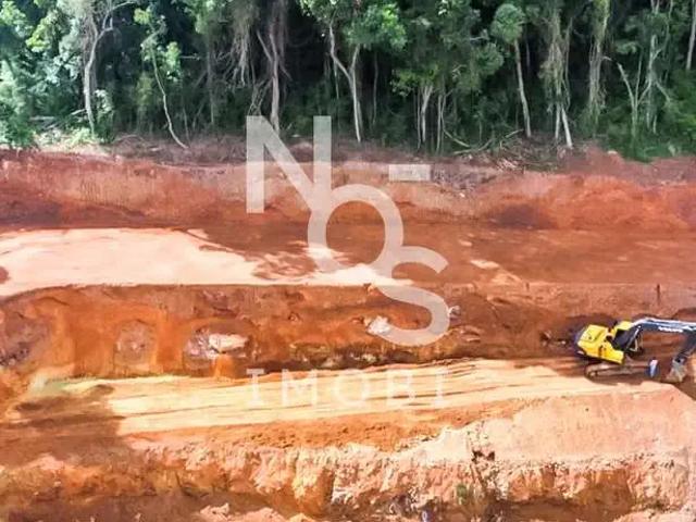 Terreno / Lote para Venda em Antônio Prado/RS Zona Rural