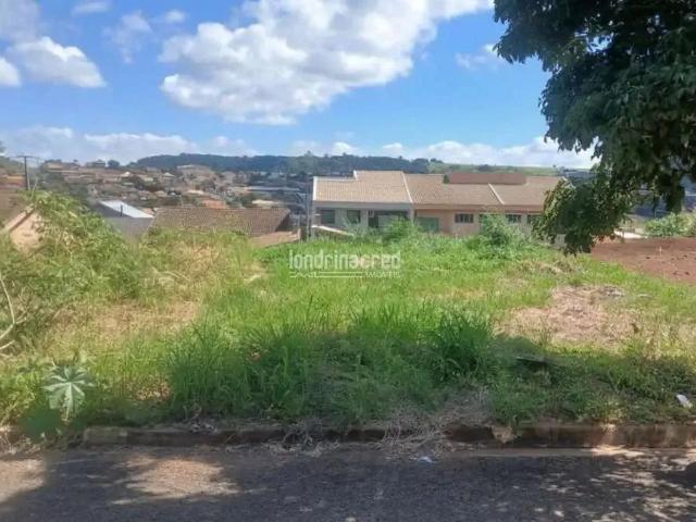 Terreno / Lote para Venda em Assaí/PR Recanto Bela Vista