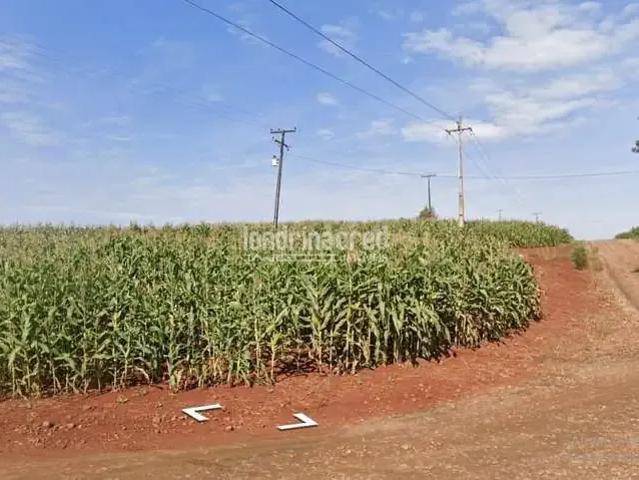 Terreno / Lote para Venda em Assaí/PR Zona Rural