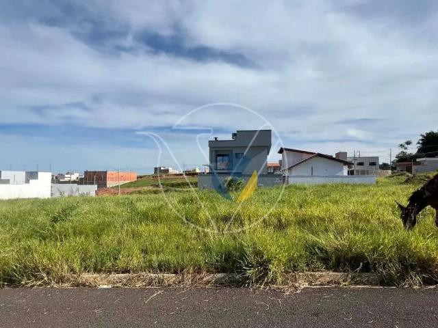 Terreno / Lote para Venda em Assis/SP Vila Ribeiro