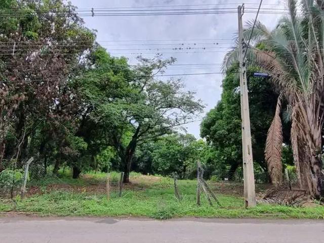 Terreno / Lote para Venda em Aparecida de Goiânia/GO Chácaras São Pedro