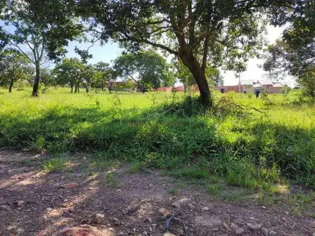 Terreno / Lote para Venda em Aparecida de Goiânia/GO Jardim das Cascatas