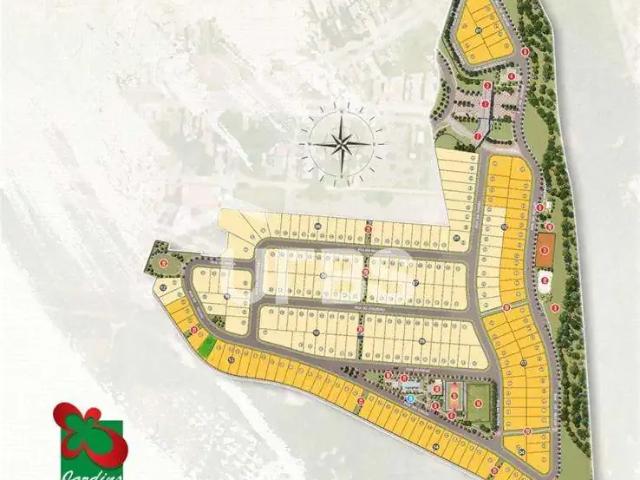 Terreno / Lote para Venda em Aparecida de Goiânia/GO Jardim Helvécia