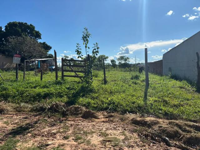 Terreno / Lote para Venda em Aparecida de Goiânia/GO Jardim Ipê