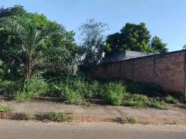 Terreno / Lote para Venda em Aparecida de Goiânia/GO Jardim Ipiranga