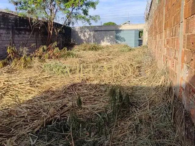Terreno / Lote para Venda em Aparecida de Goiânia/GO Jardim Olímpico