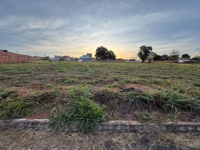 Terreno / Lote para Venda em Aparecida de Goiânia/GO Residencial Village Garavelo Continuação