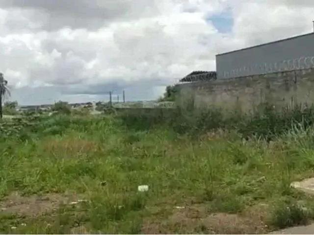 Terreno / Lote para Venda em Aparecida de Goiânia/GO Setor Aeroporto Sul