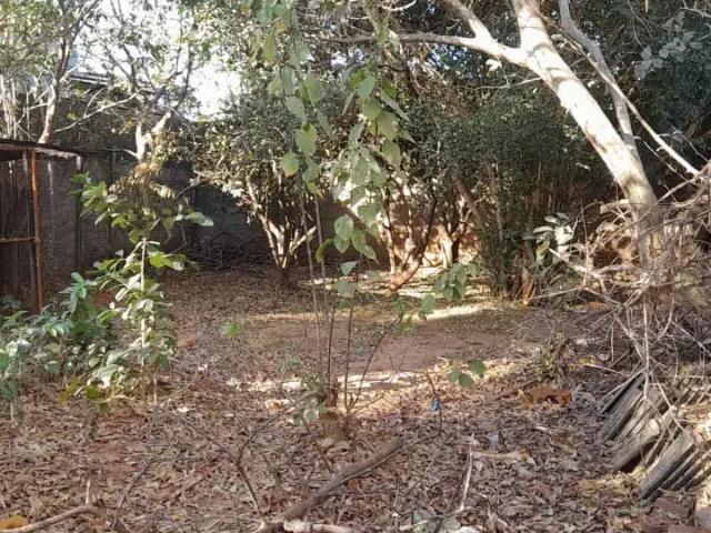 Terreno / Lote para Venda em Aparecida de Goiânia/GO Vila Brasília