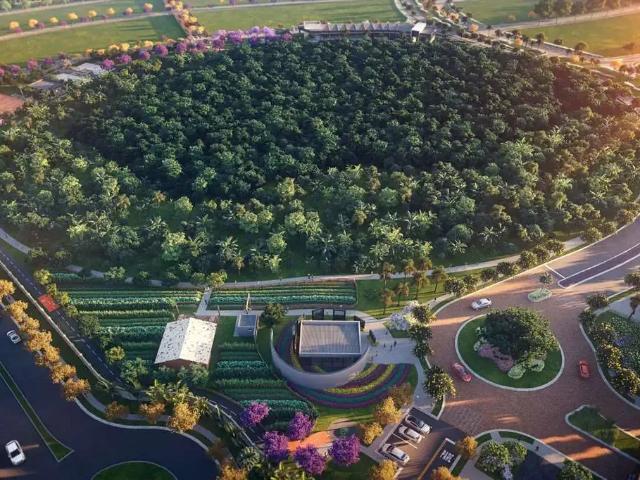 Terreno / Lote para Venda em Aparecida de Goiânia/GO Vila Maria