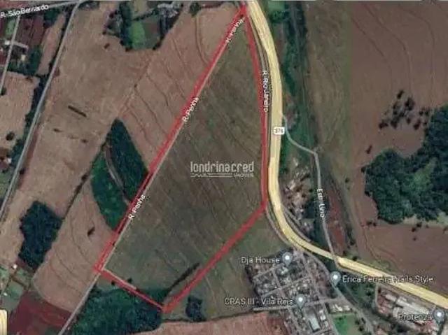Terreno / Lote para Venda em Apucarana/PR Vila Nossa Senhora da Conceição