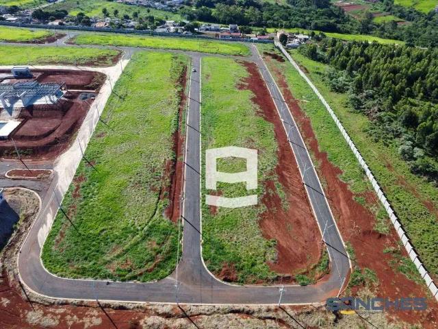 Terreno / Lote para Venda em Apucarana/PR Vila Nossa Senhora da Conceição