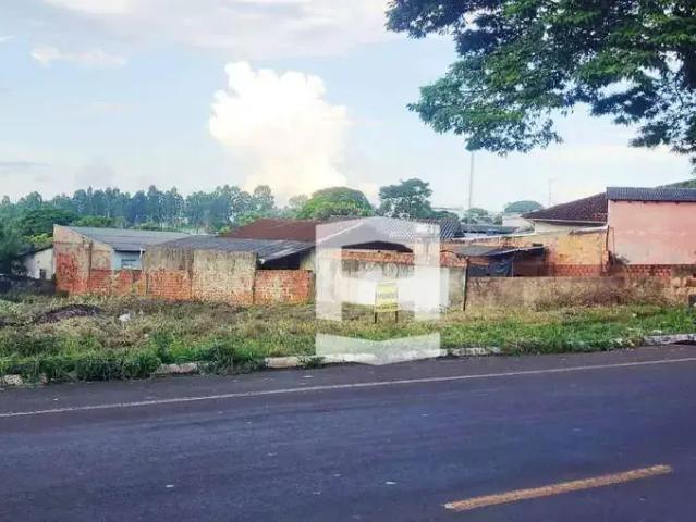Terreno / Lote para Venda em Apucarana/PR Vila Nova