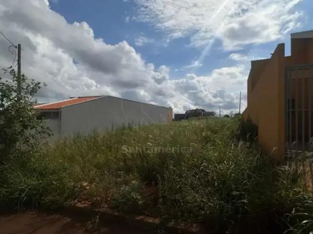 Terreno / Lote para Venda em Apucarana/PR Vila Reis