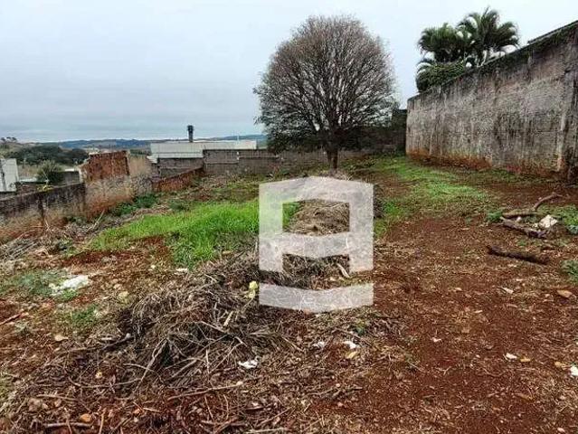 Terreno / Lote para Venda em Apucarana/PR Vila Santa Terezinha