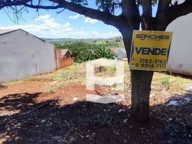 Terreno / Lote para Venda em Apucarana/PR Jardim Catuaí