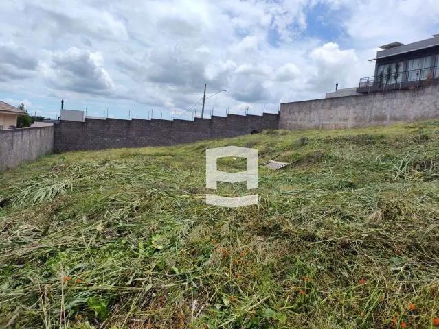Terreno / Lote para Venda em Apucarana/PR Jardim Eldorado