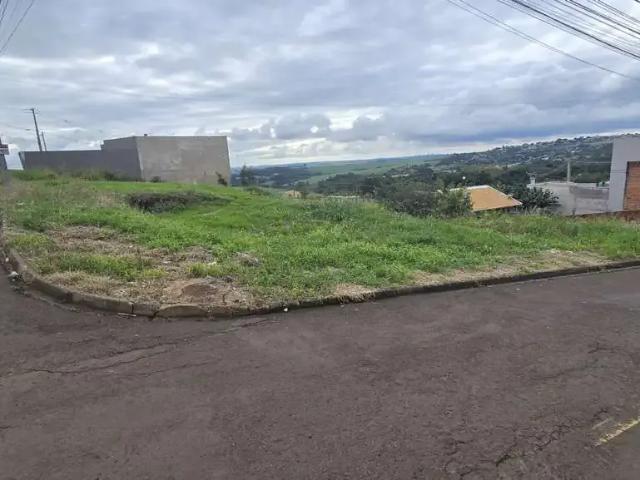 Terreno / Lote para Venda em Apucarana/PR Jardim Licce
