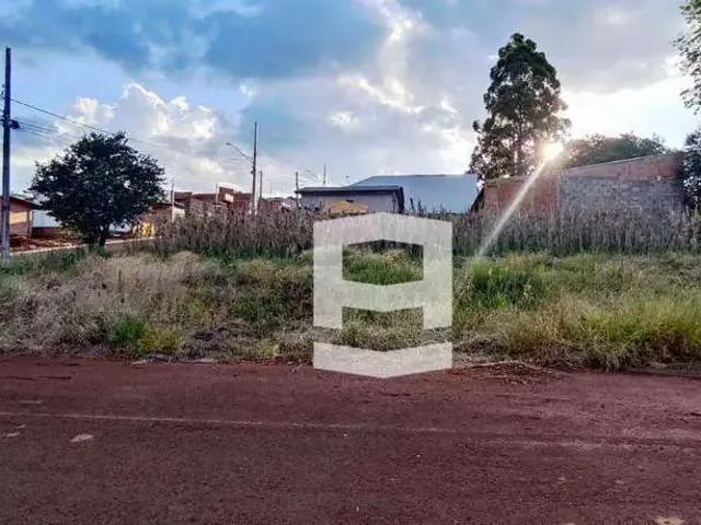 Terreno / Lote para Venda em Apucarana/PR Jardim Primavera